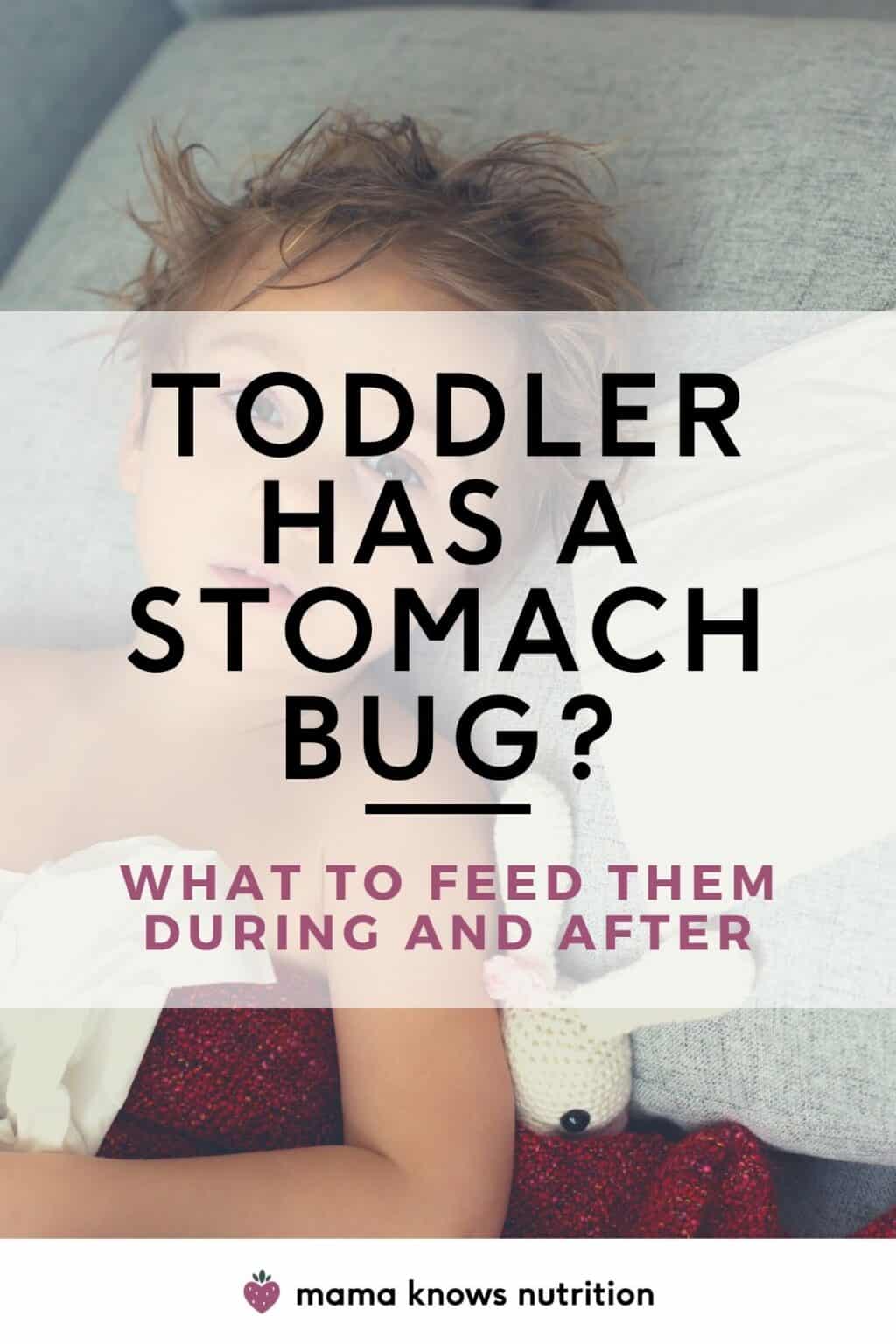 What To Feed Your Toddler During After A Stomach Bug what-to-feed-your-toddler-during-after-a-stomach-bug